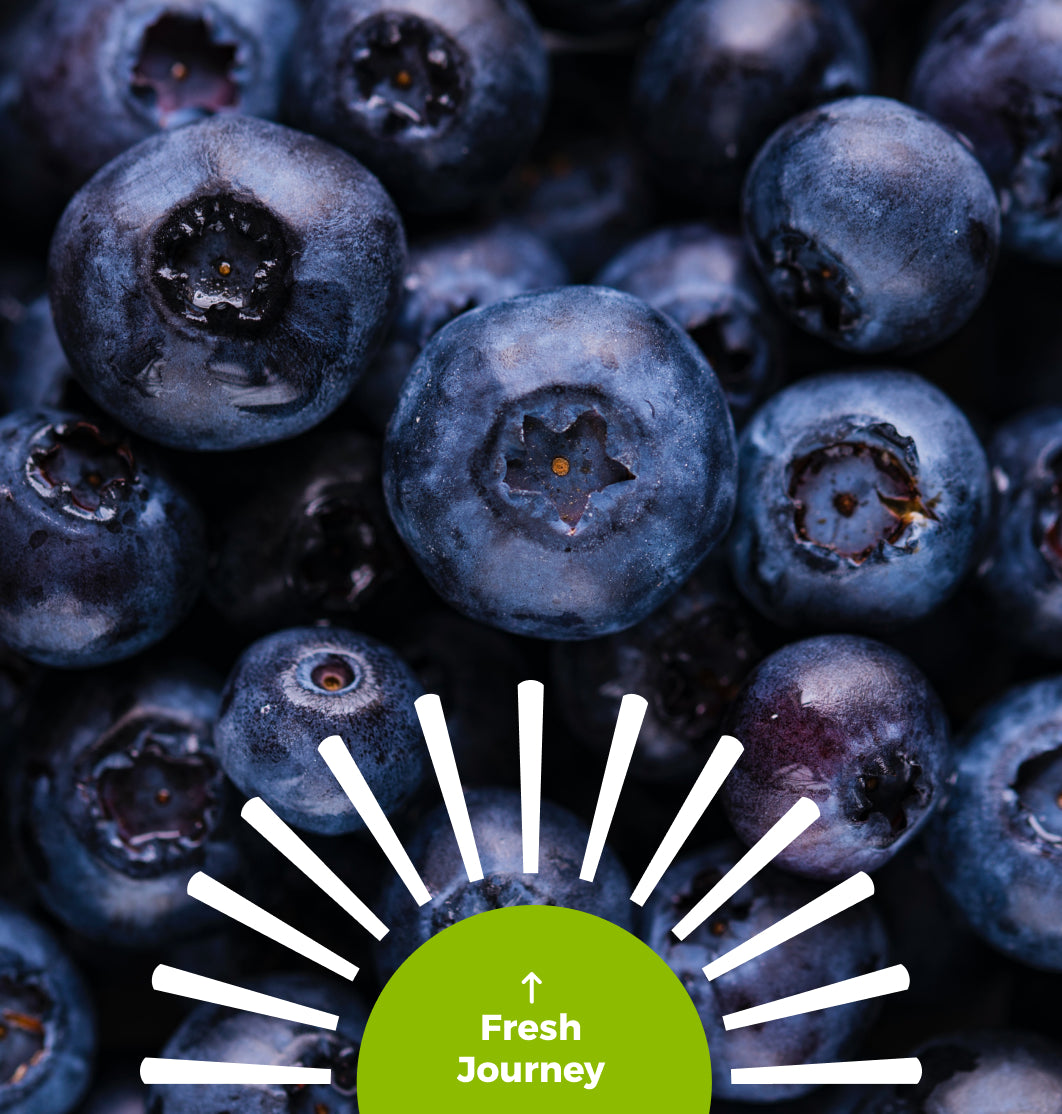 Nutrition | Smoothie Delivery Service – SmoothieBox